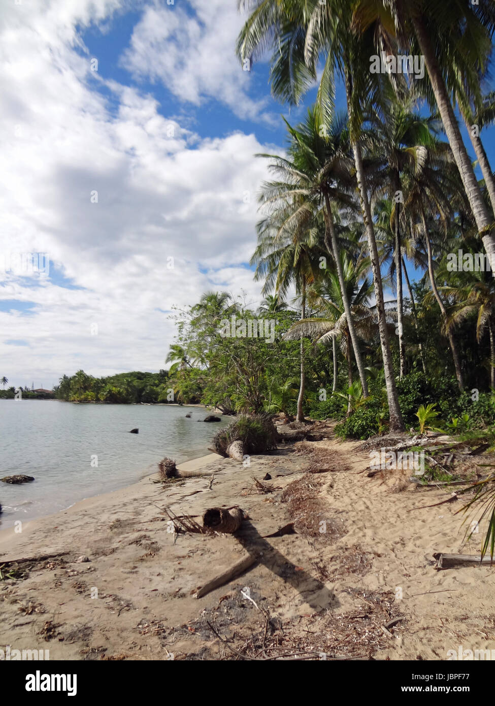 summer in green paradise country costa rica Stock Photo - Alamy