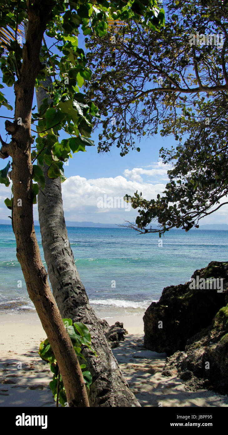 caribbean paradise island cayo levantado Stock Photo - Alamy