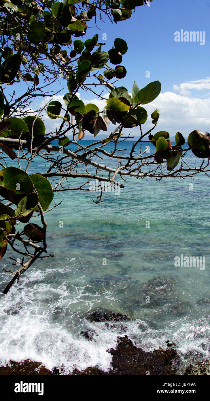 caribbean paradise island cayo levantado Stock Photo - Alamy