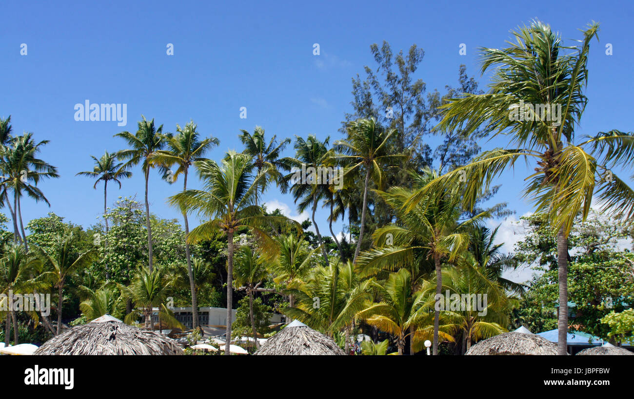 caribbean beach of baca chica Stock Photo - Alamy