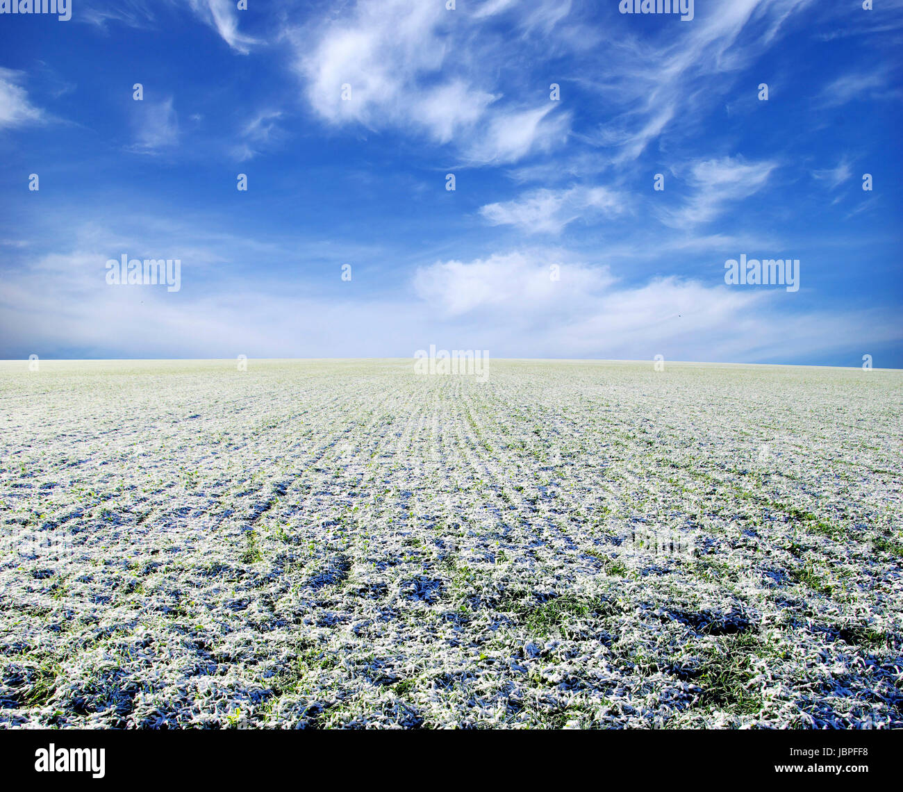 winter field and clouds in sky Stock Photo - Alamy