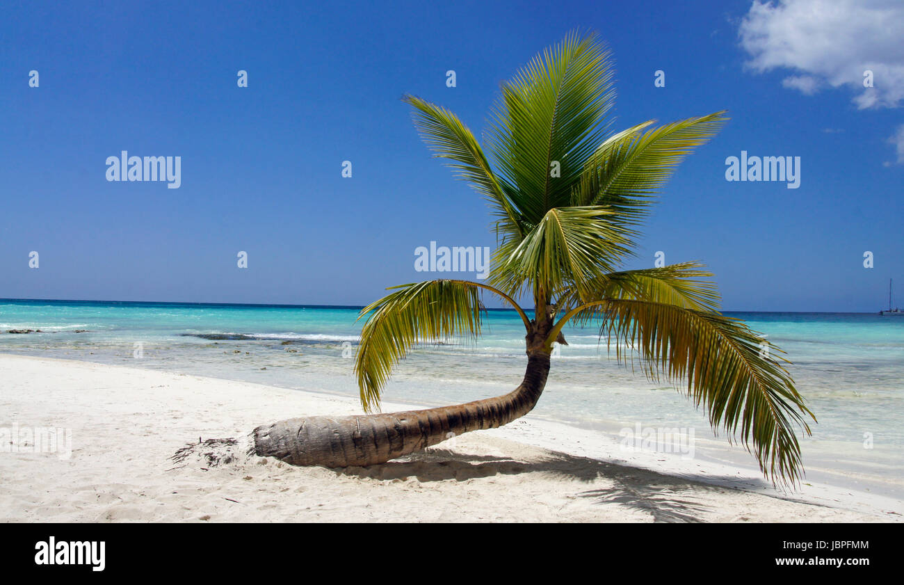 real caribbean paradise saona island Stock Photo - Alamy