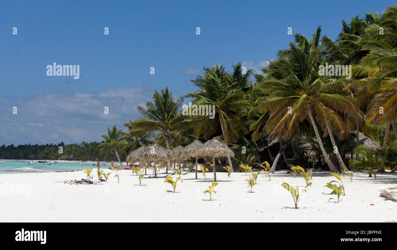 real caribbean paradise saona island Stock Photo - Alamy