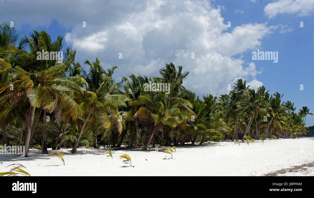 real caribbean paradise saona island Stock Photo - Alamy