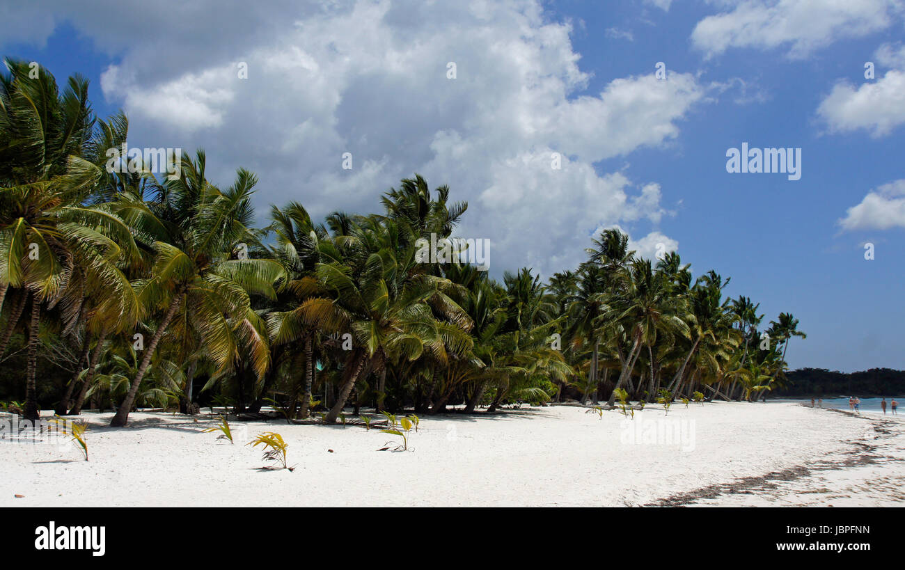 real caribbean paradise saona island Stock Photo - Alamy