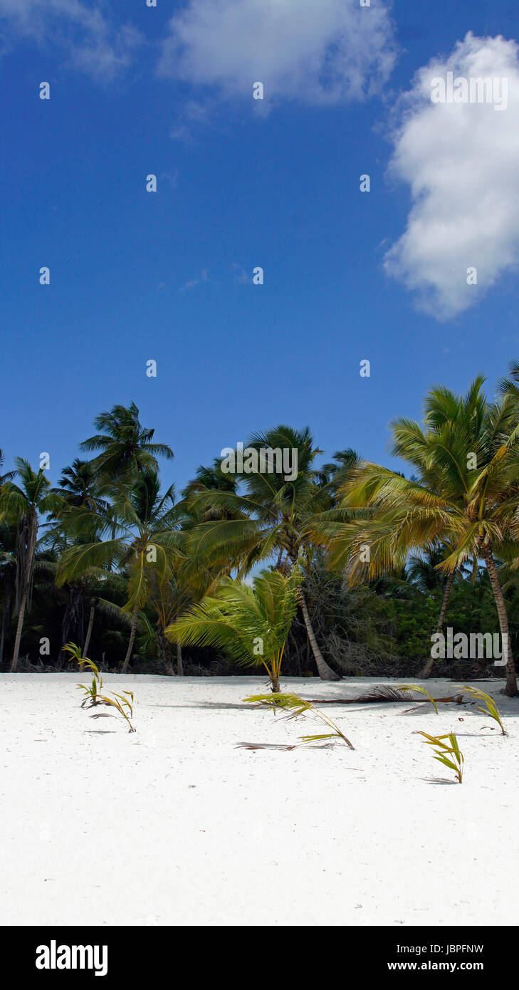 real caribbean paradise saona island Stock Photo - Alamy