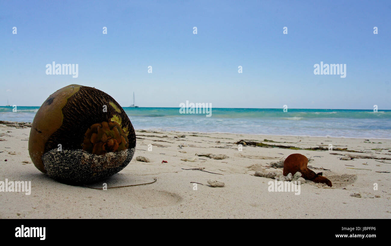 real caribbean paradise saona island Stock Photo - Alamy
