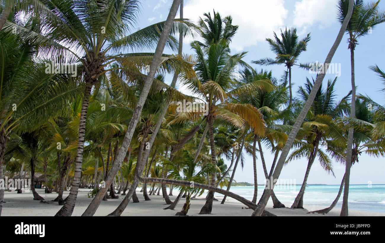 real caribbean paradise saona island Stock Photo - Alamy