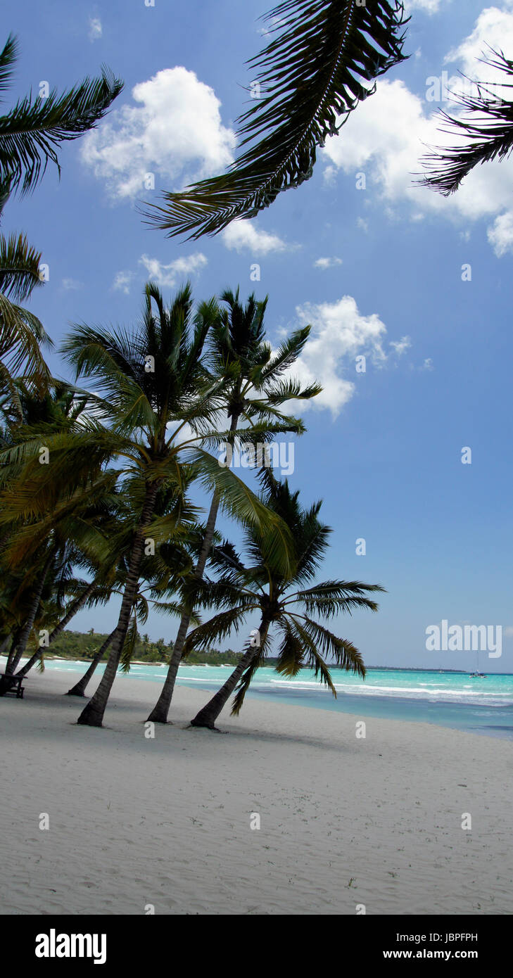 real caribbean paradise saona island Stock Photo - Alamy