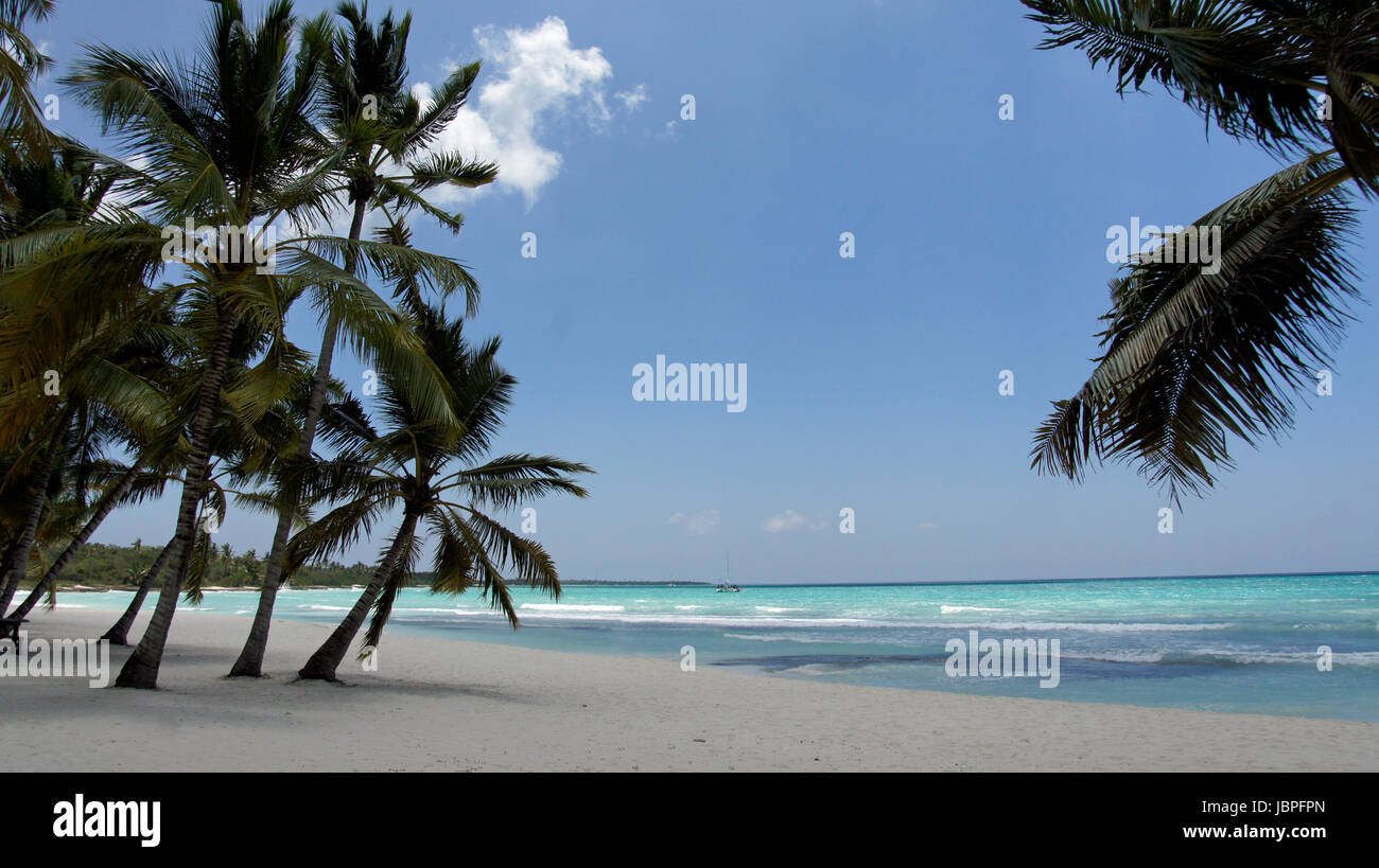 real caribbean paradise saona island Stock Photo - Alamy