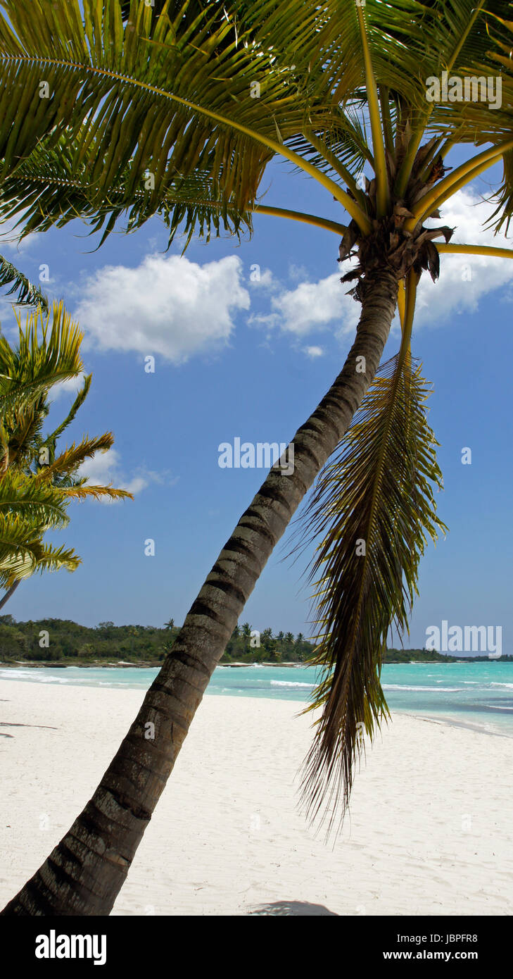 real caribbean paradise saona island Stock Photo - Alamy