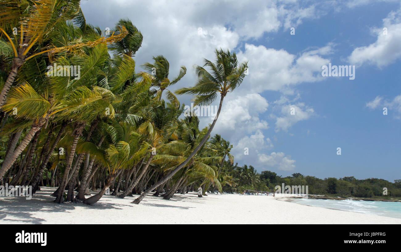 real caribbean paradise saona island Stock Photo - Alamy