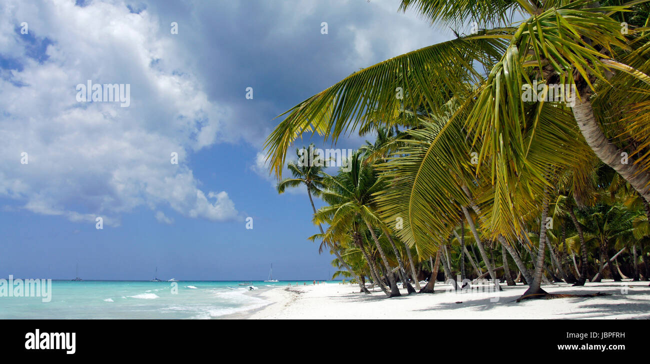 real caribbean paradise saona island Stock Photo - Alamy