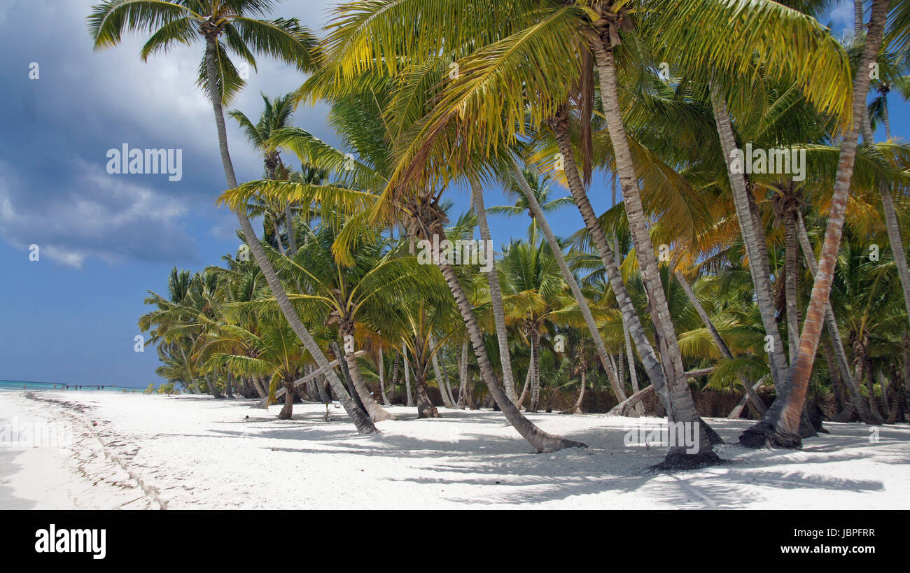real caribbean paradise saona island Stock Photo - Alamy
