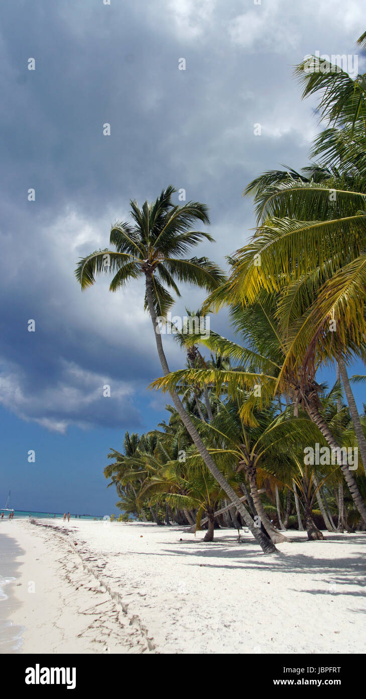 real caribbean paradise saona island Stock Photo - Alamy