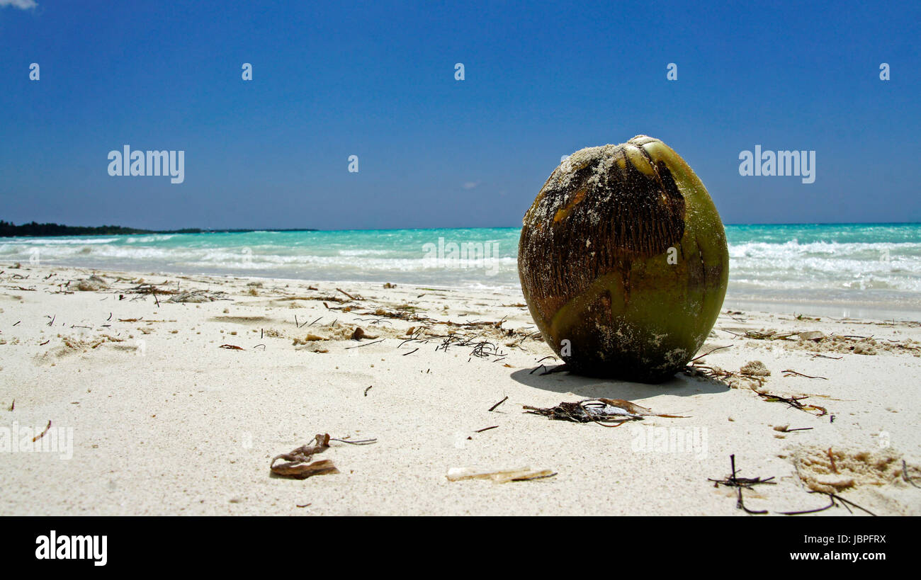real caribbean paradise saona island Stock Photo - Alamy