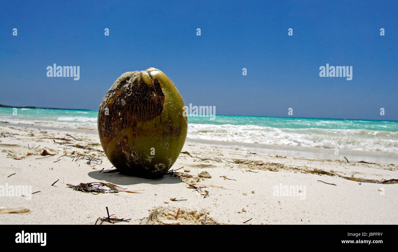 real caribbean paradise saona island Stock Photo - Alamy