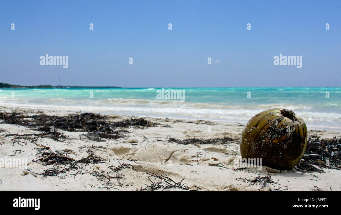 real caribbean paradise saona island Stock Photo - Alamy