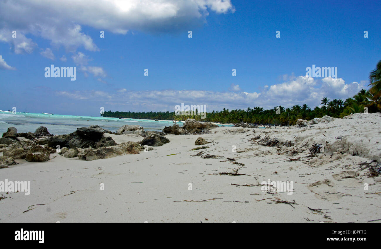 real caribbean paradise saona island Stock Photo - Alamy