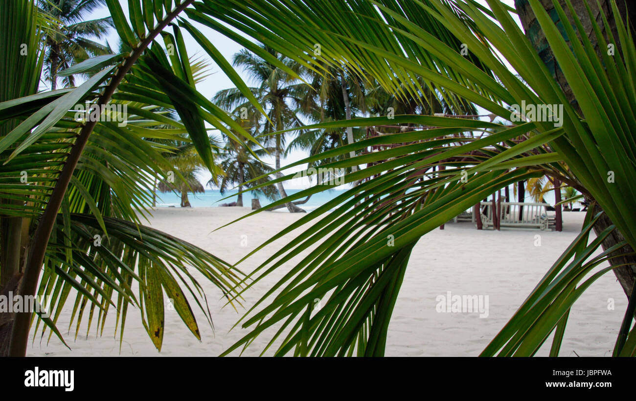 real caribbean paradise saona island Stock Photo - Alamy