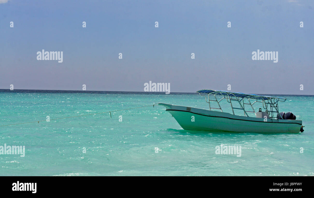 real caribbean paradise saona island Stock Photo - Alamy