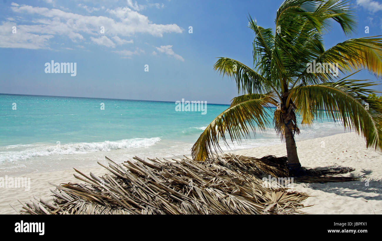 real caribbean paradise saona island Stock Photo - Alamy