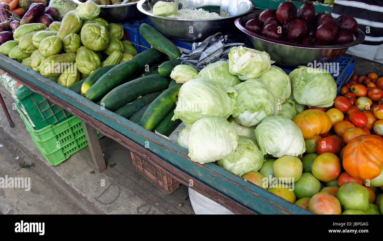 agriculture in the dominican republic Stock Photo - Alamy