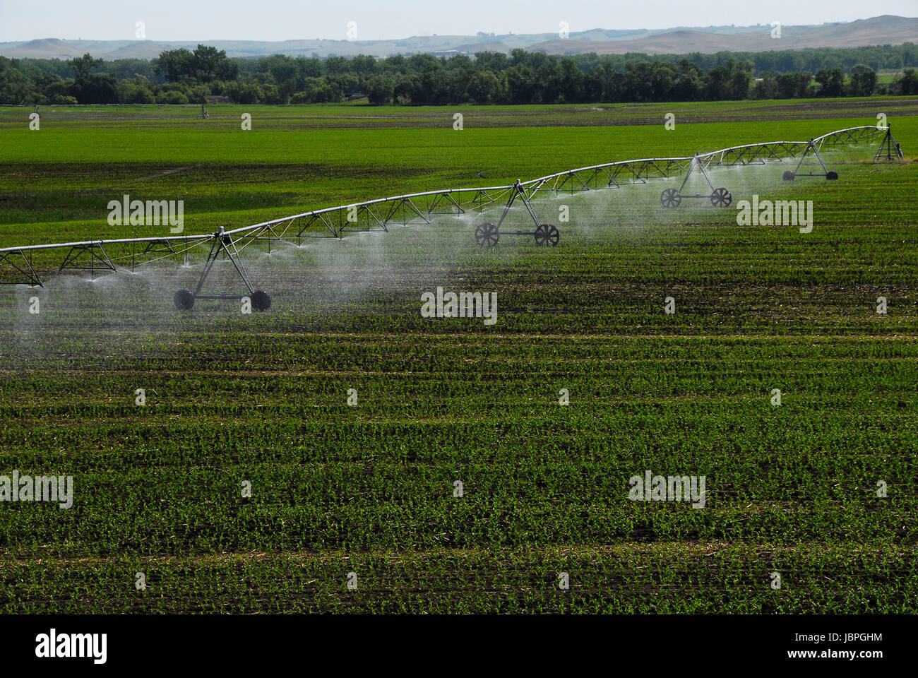 Center pivot irrigation system watering crops.in North Dakota Stock ...