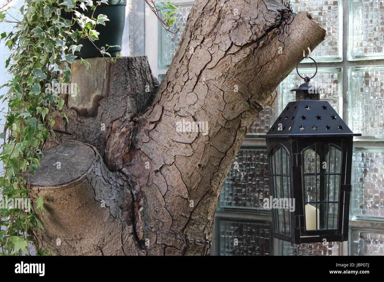 dead nature - revived in part Stock Photo - Alamy