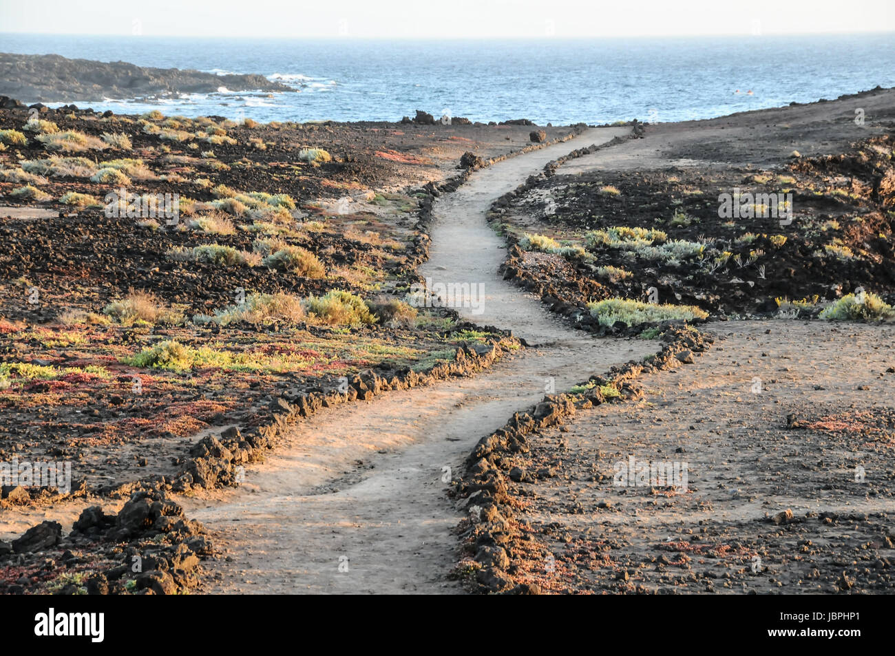 Path nature landscape beautiful environment desrt road pathway hi-res ...
