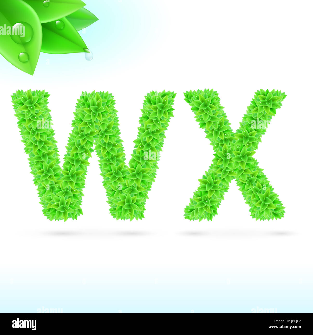 Sans serif font with green leaf decoration on white background. W and X ...