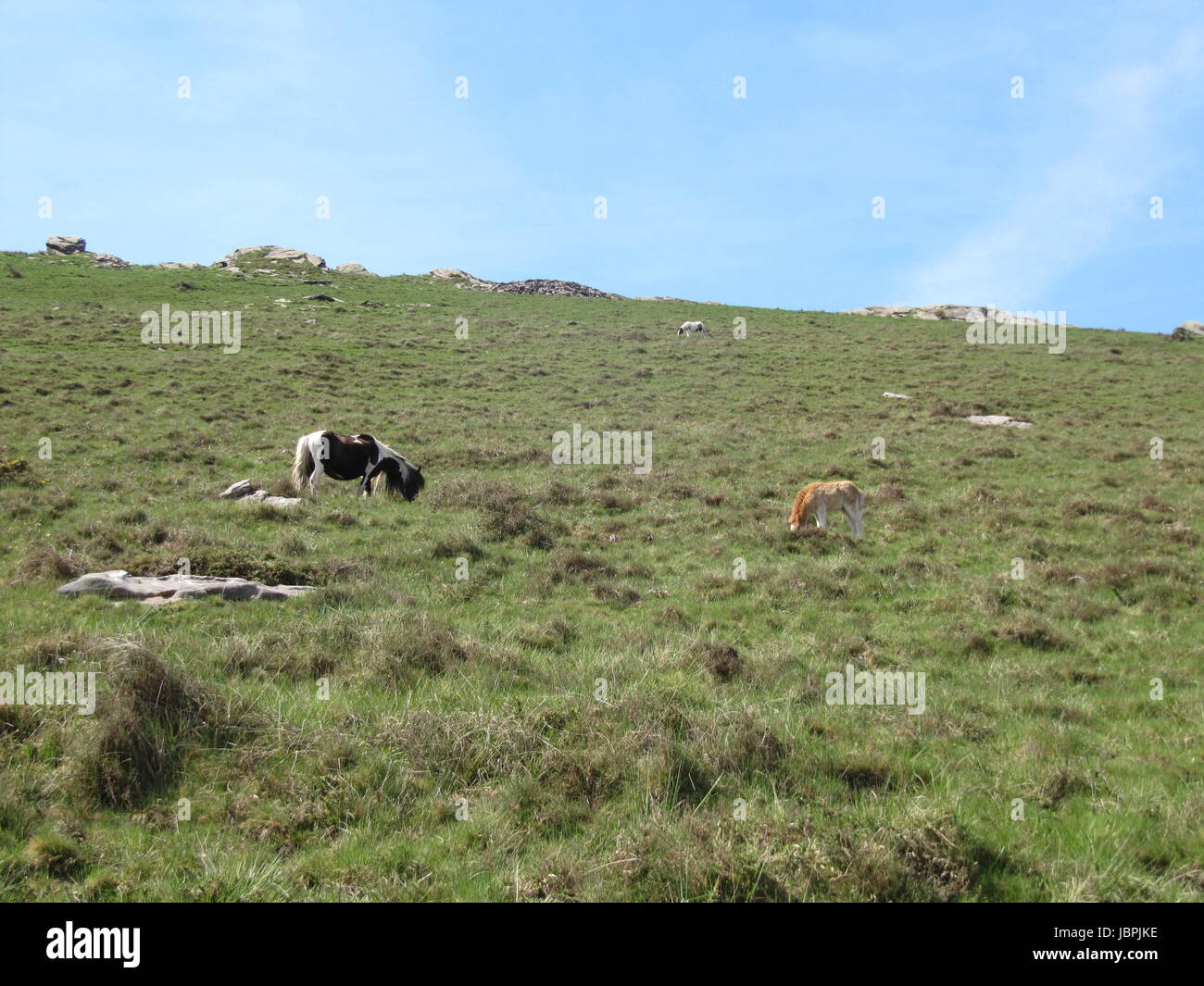 Baskisch hi-res stock photography and images - Alamy