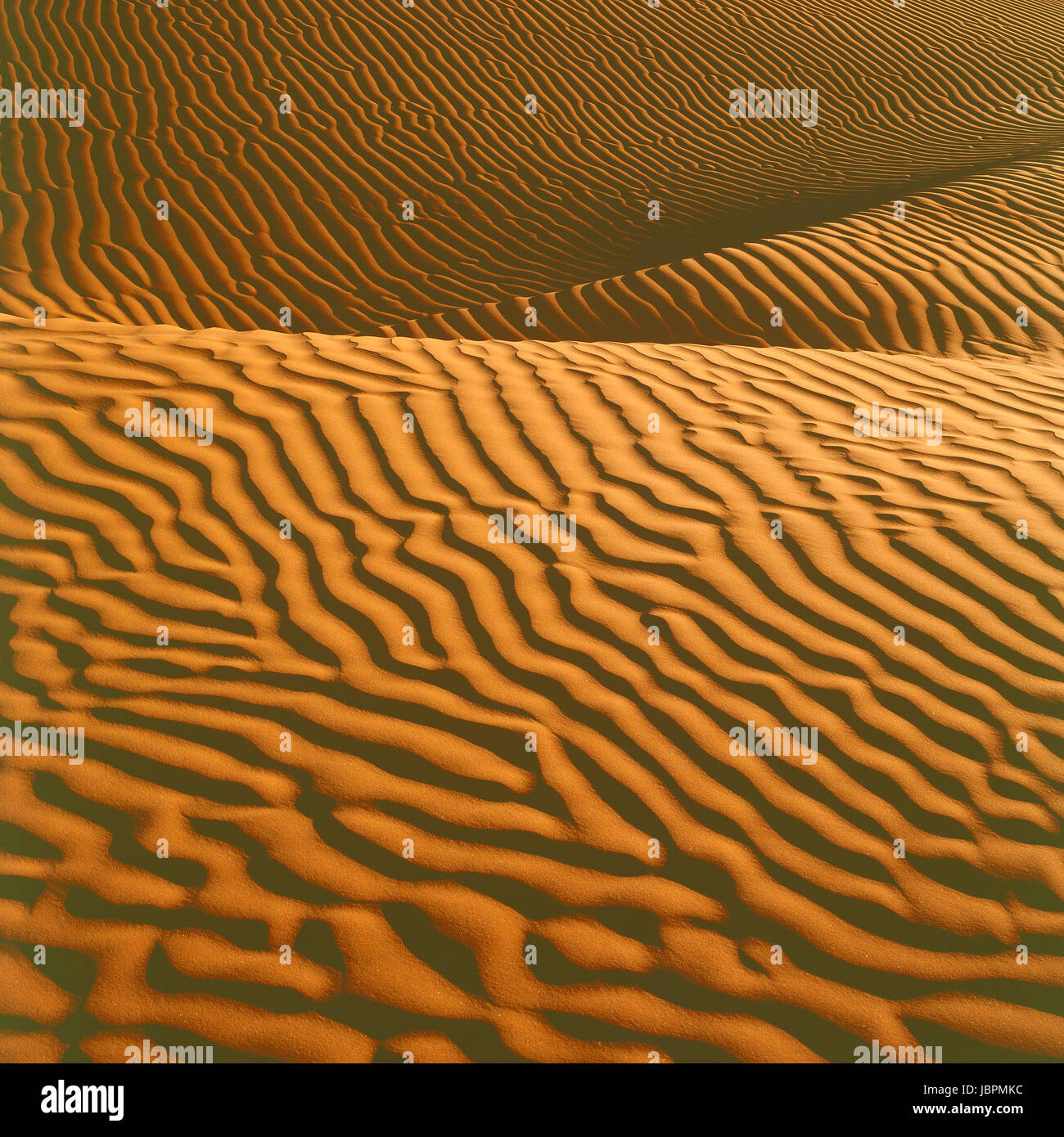 Endless sands sahara desert hi-res stock photography and images - Alamy