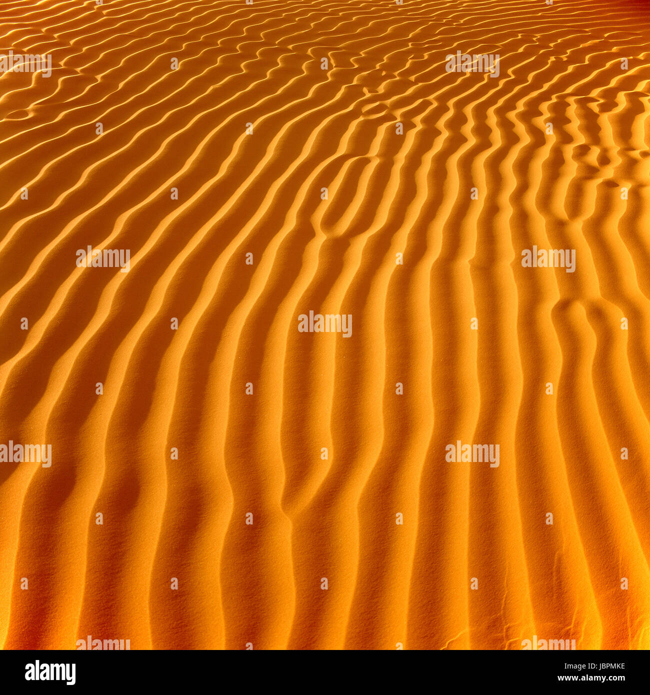 Endless sands sahara desert hi-res stock photography and images - Alamy