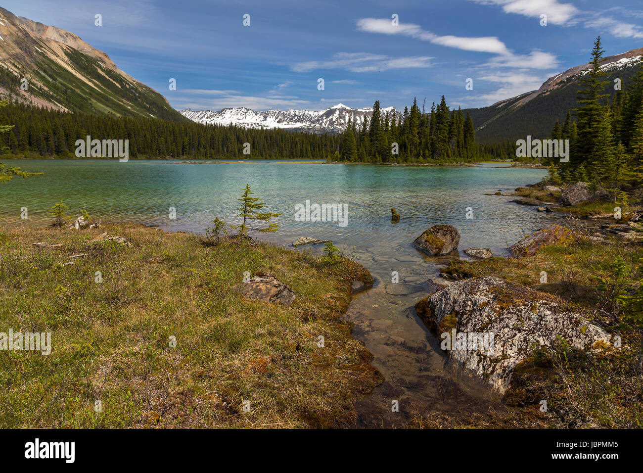 Adolphus Lake Shore Alpine Meadow, Mount Robson Pass Famous North ...