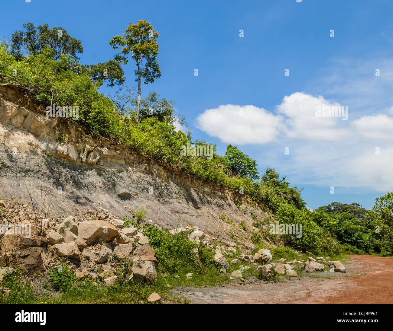 Soil slide forest hi-res stock photography and images - Alamy