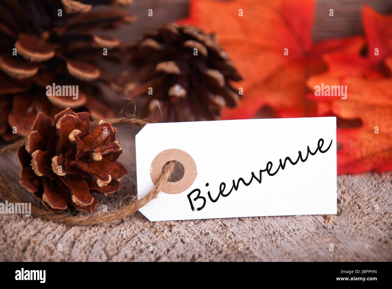 The French Word Bienvenue, which means Welcome, written on a label as ...