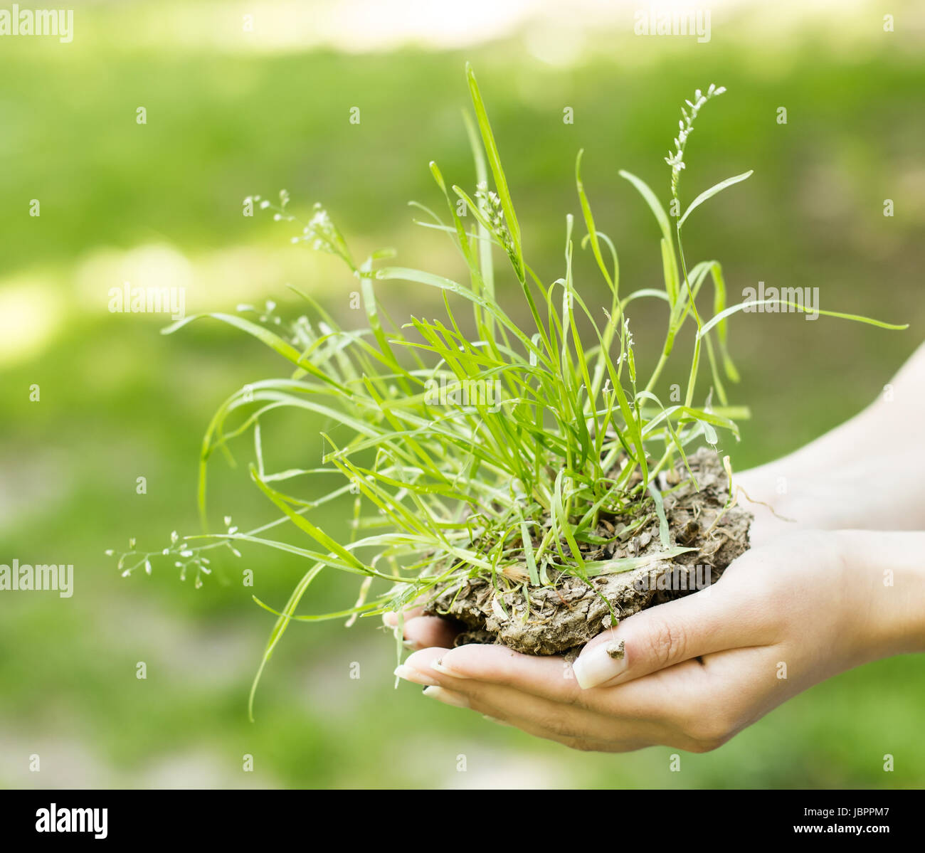Human hands holding and support earth with grass Stock Photo - Alamy