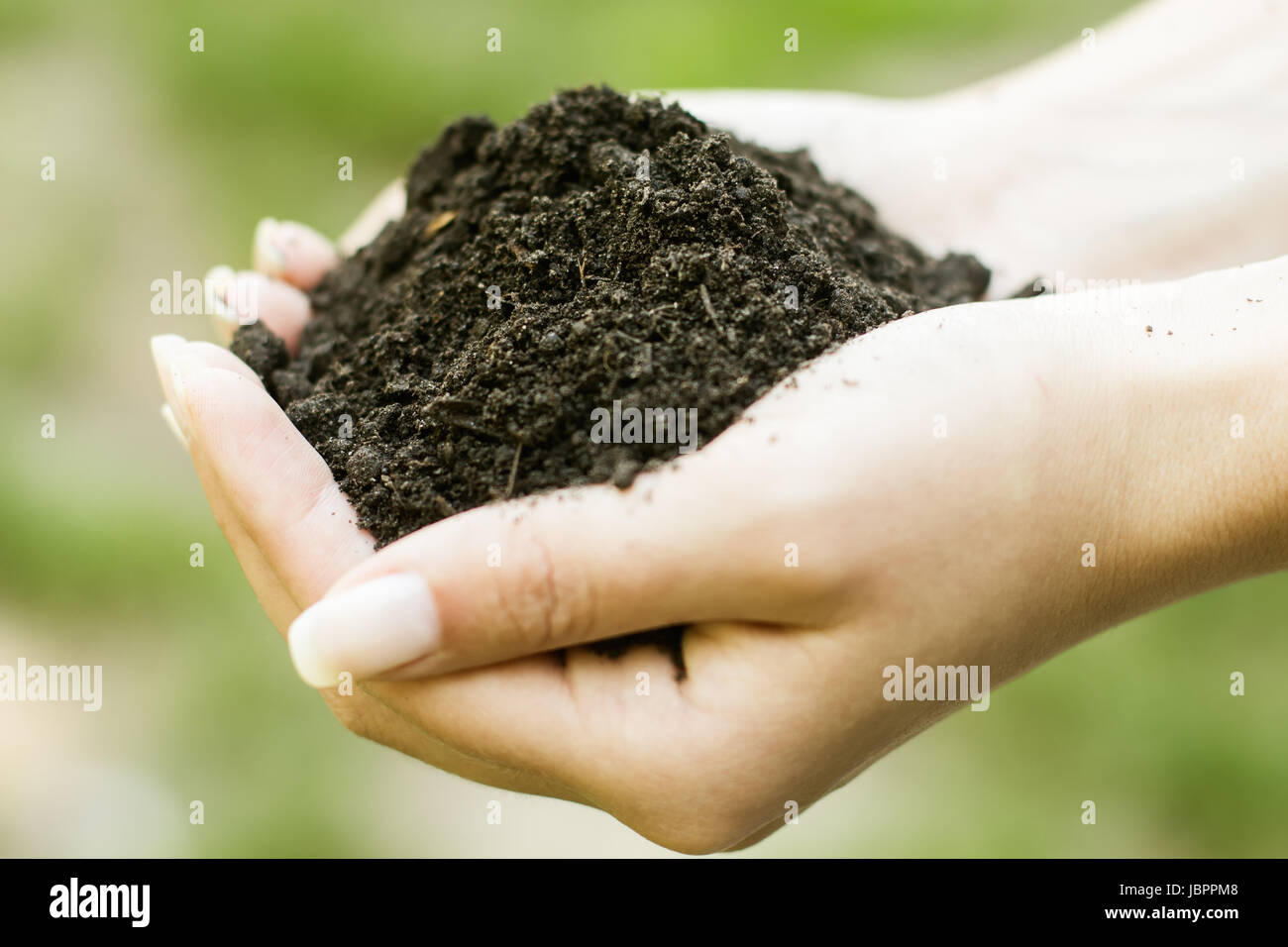 Human hands holding a handful of soil Stock Photo - Alamy
