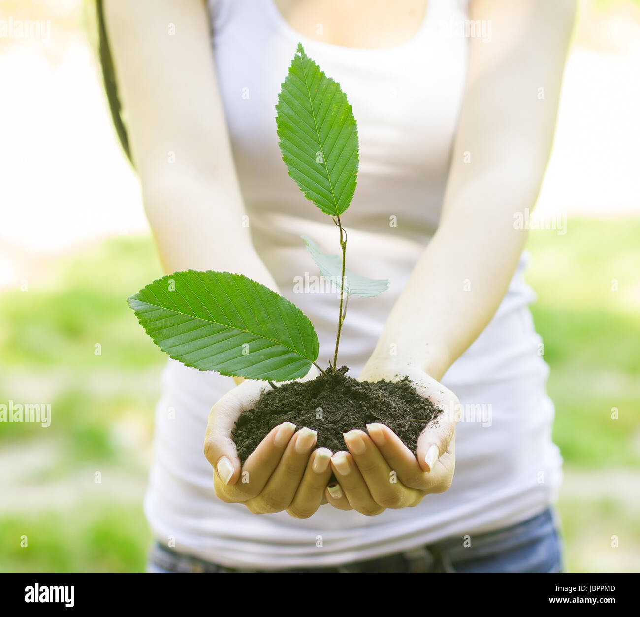 Human hands holding and support small plant to grow up Stock Photo - Alamy