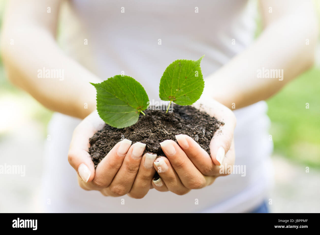 Human hands holding and support small plant to grow up Stock Photo - Alamy