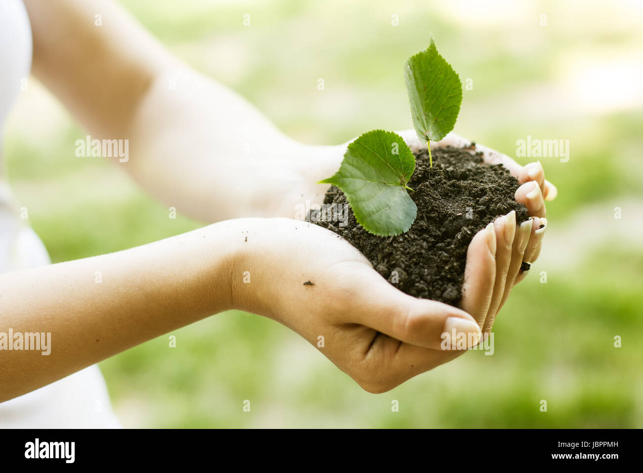 Human hands holding and support small plant to grow up Stock Photo - Alamy