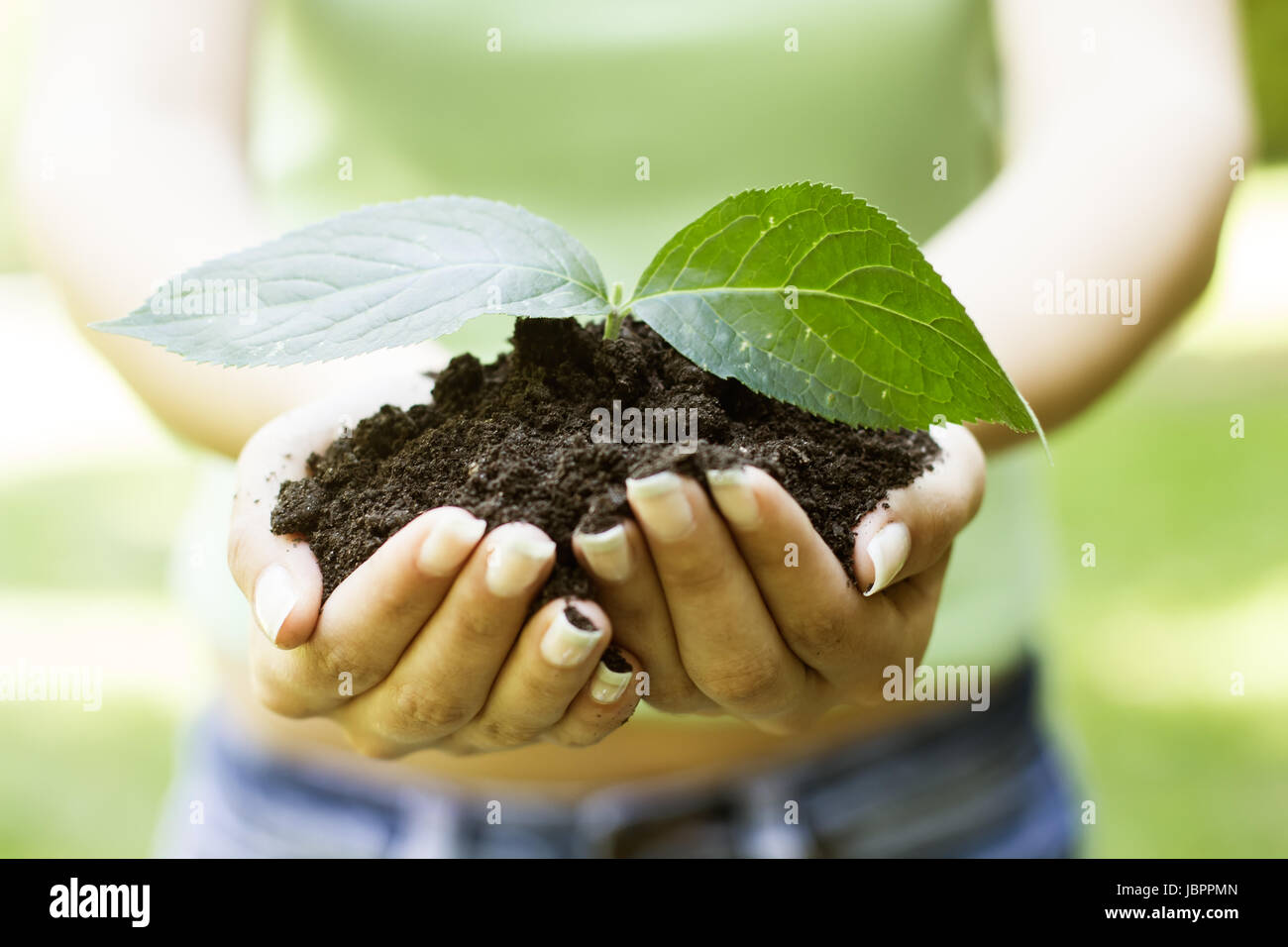 Human hands holding and support small plant to grow up Stock Photo - Alamy
