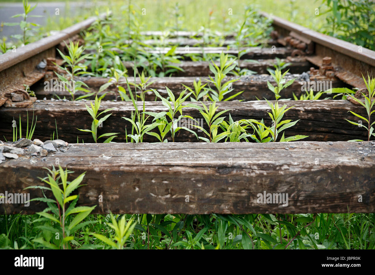 Eisenbahnlinie eisenbahn hi-res stock photography and images - Alamy