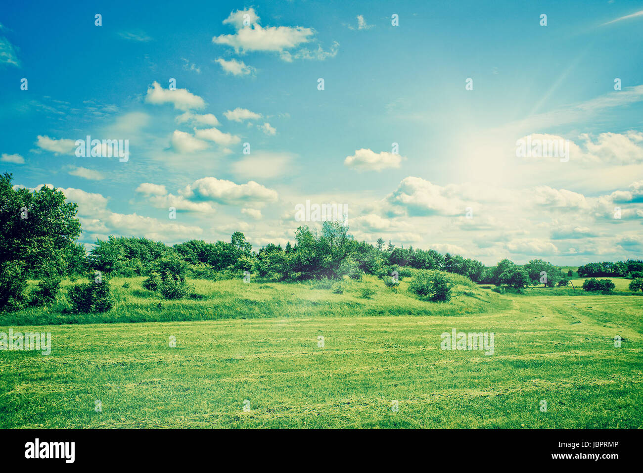 High resolution photo in best quality Stock Photo - Alamy