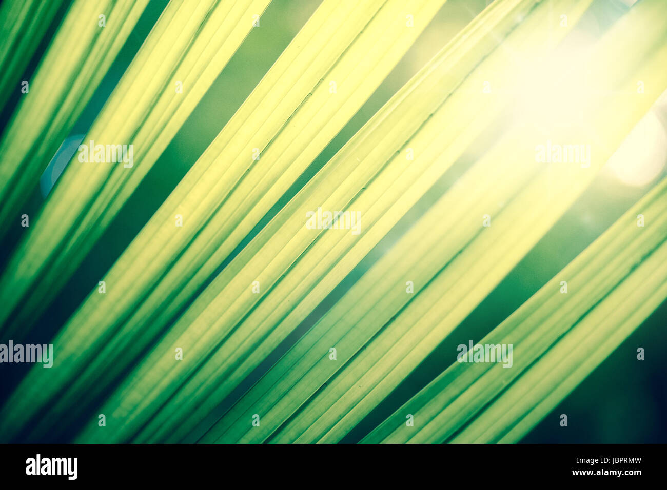 High resolution photo in best quality Stock Photo - Alamy