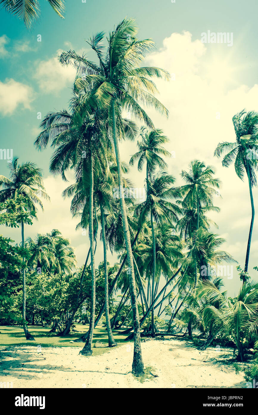 High resolution photo in best quality Stock Photo - Alamy