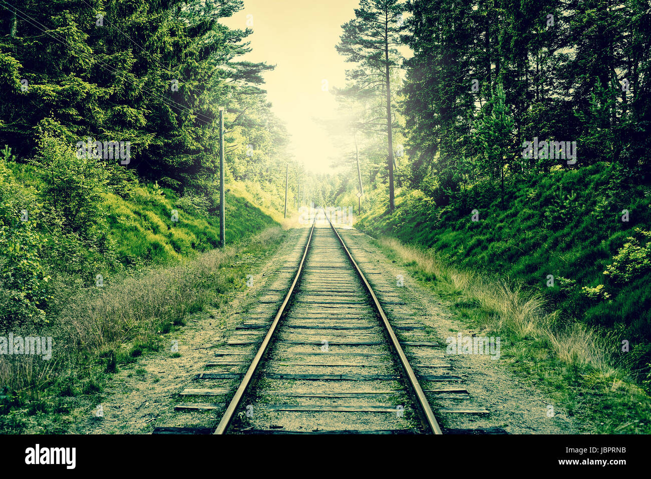 High resolution photo in best quality Stock Photo - Alamy