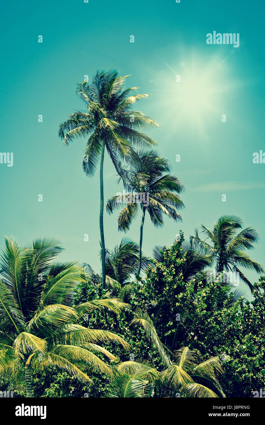 High resolution photo in best quality Stock Photo - Alamy