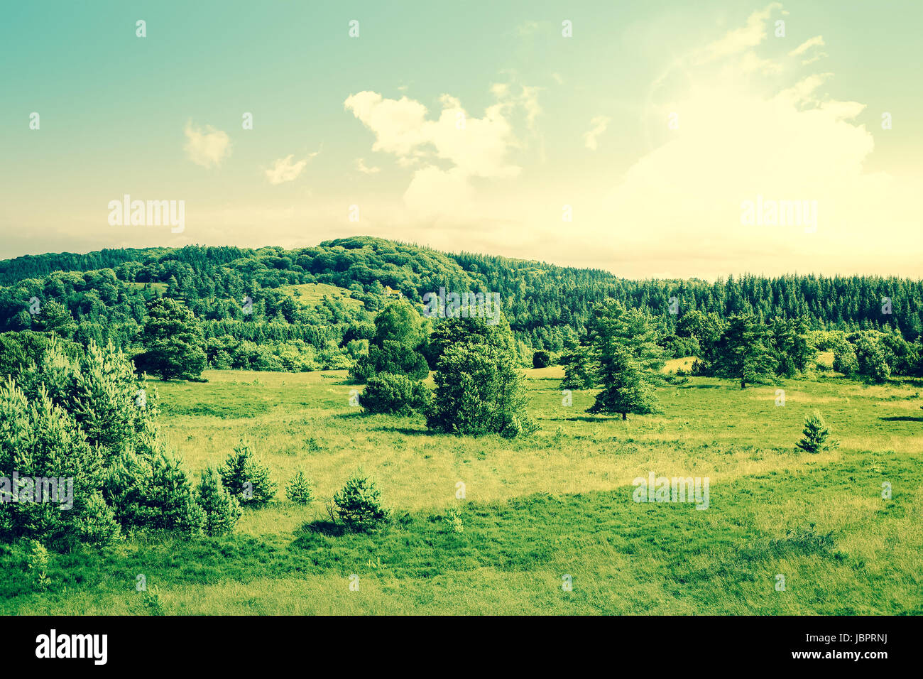 High resolution photo in best quality Stock Photo - Alamy